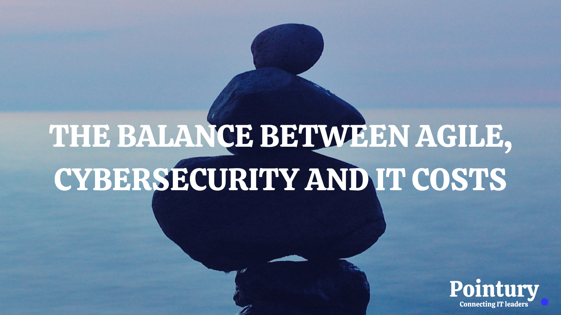 The Balance Between Agile Cybersecurity And It Costs